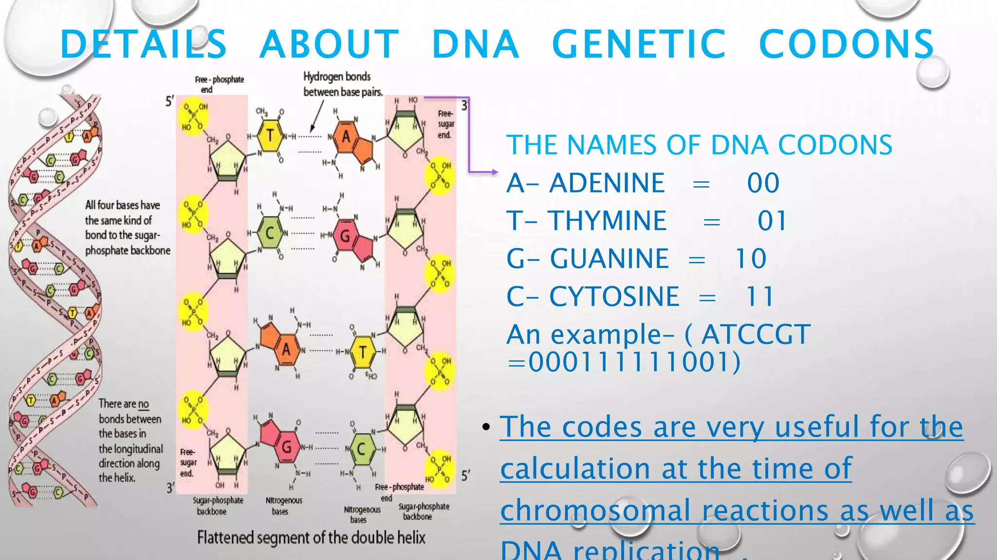 DNA NANOBIOTECHNOLOGY | PPTX