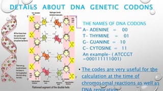 DNA NANOBIOTECHNOLOGY | PPTX