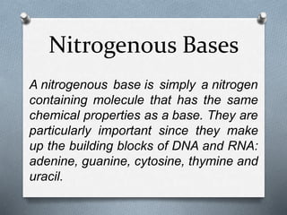 Nitrogen Base Definition