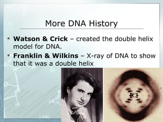 Dna notes | PPT