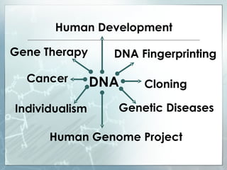 Dna notes | PPT