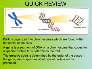 Grade 10 quarter 3 lesson 1 DNA Notes.ppt