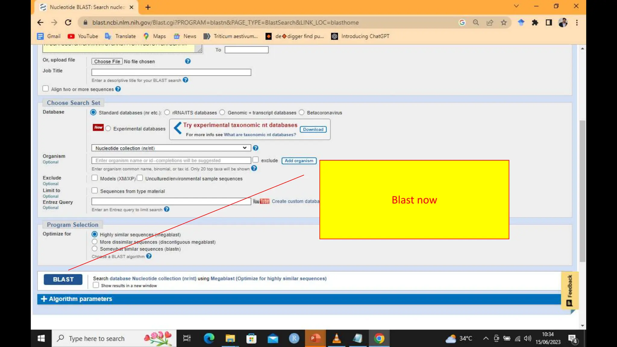 DNA nucleotides Blast in NCBI and Phylogeny using MEGA Xi.pptx
