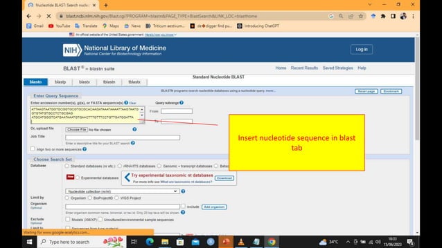 DNA nucleotides Blast in NCBI and Phylogeny using MEGA Xi.pptx