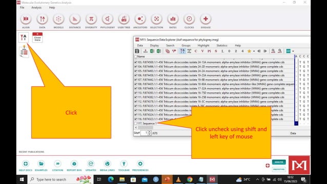 DNA nucleotides Blast in NCBI and Phylogeny using MEGA Xi.pptx