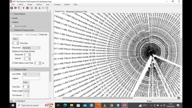 DNA nucleotides Blast in NCBI and Phylogeny using MEGA Xi.pptx
