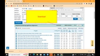 DNA nucleotides Blast in NCBI and Phylogeny using MEGA Xi.pptx