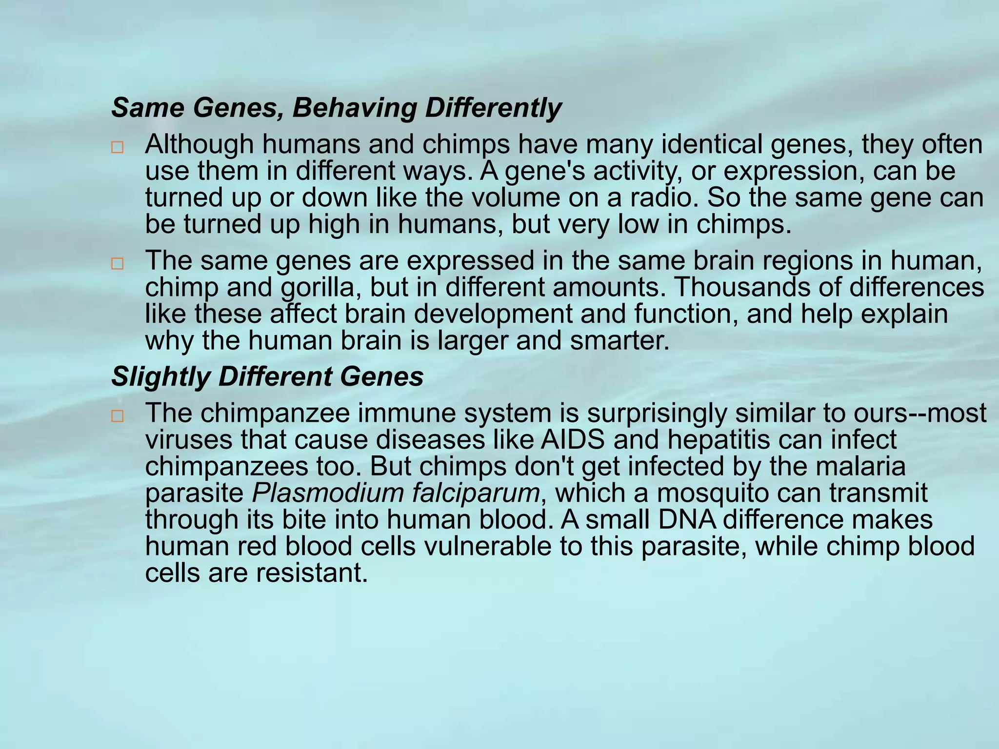 Dna of human and great ape | PPTX | Genetics | Science