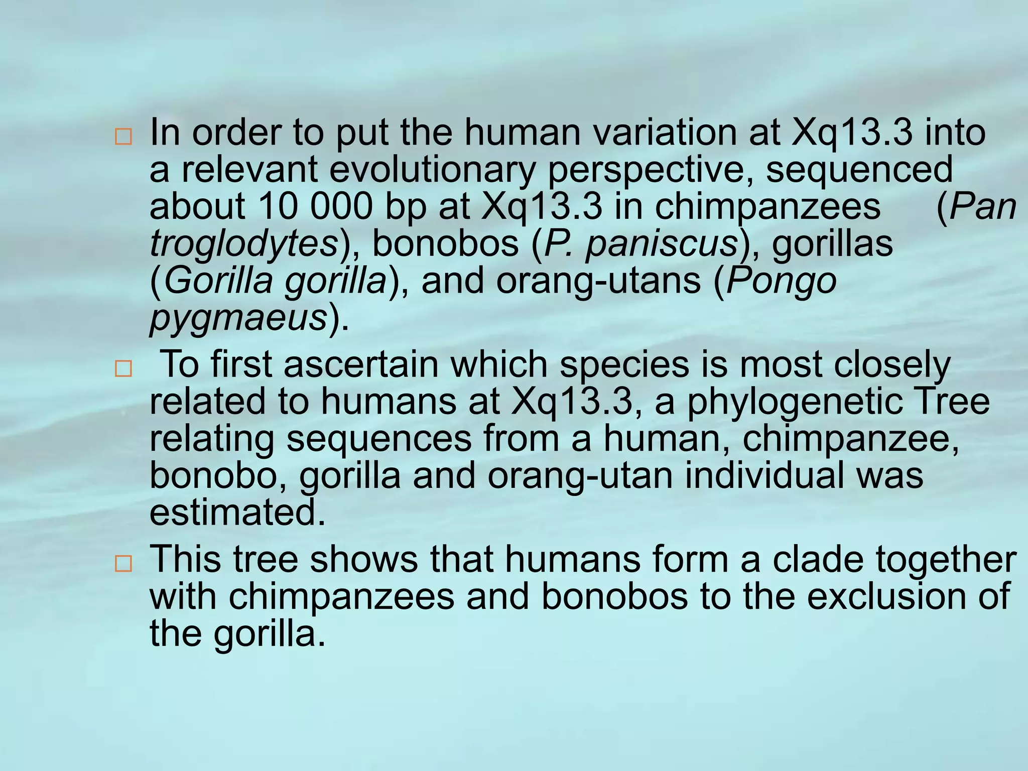 Dna of human and great ape | PPTX | Genetics | Science