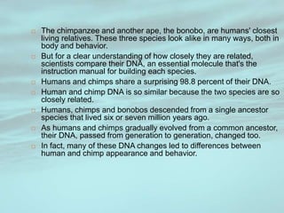 Dna of human and great ape | PPTX | Genetics | Science