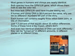 Dna of human and great ape | PPTX