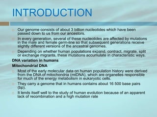 Dna of human and great ape | PPTX