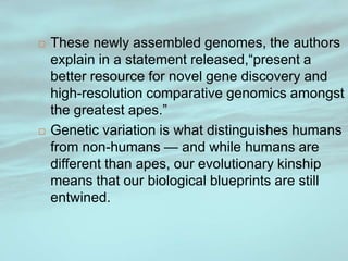 Dna of human and great ape | PPTX | Genetics | Science