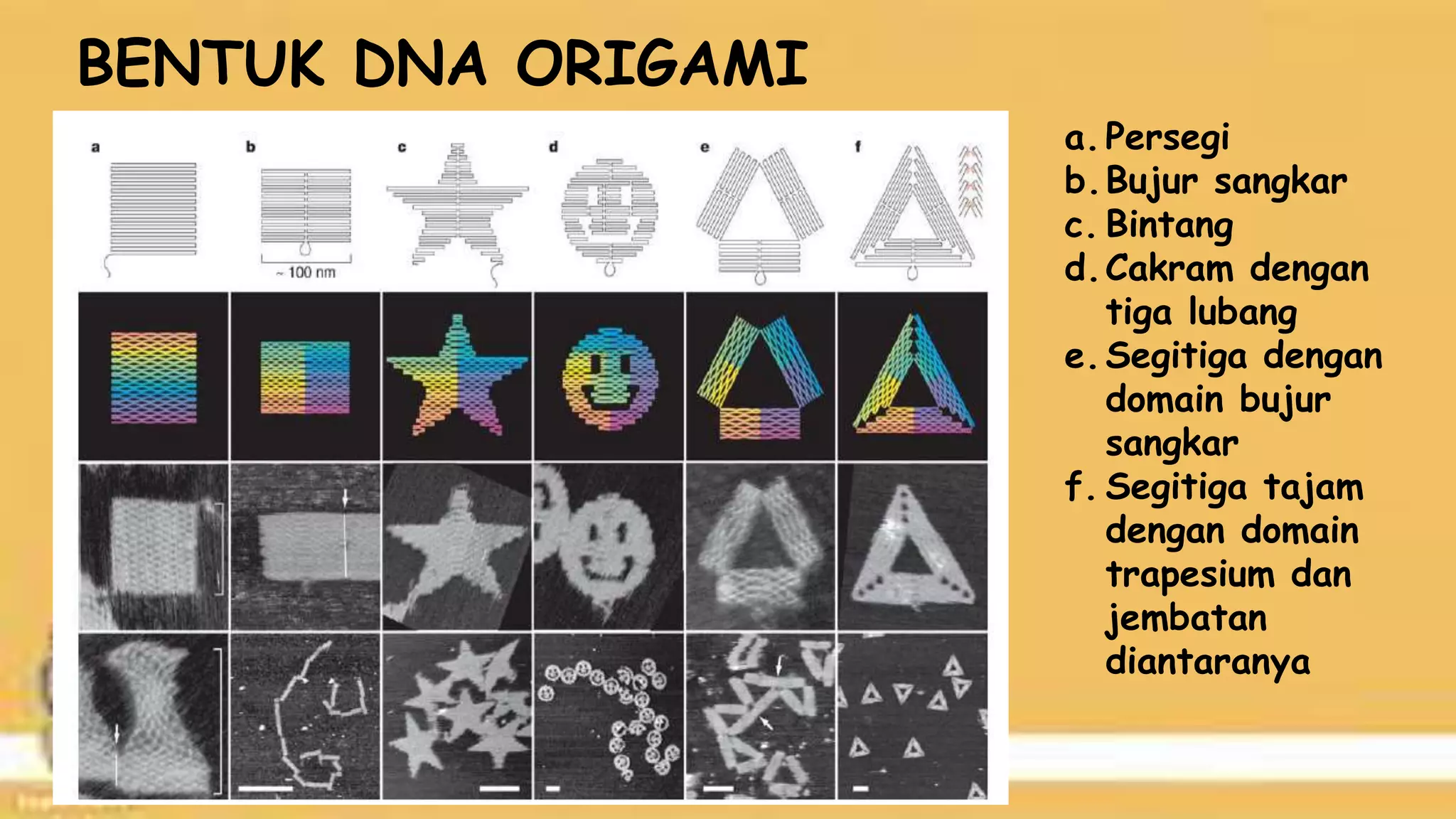 Dna origami | PPTX