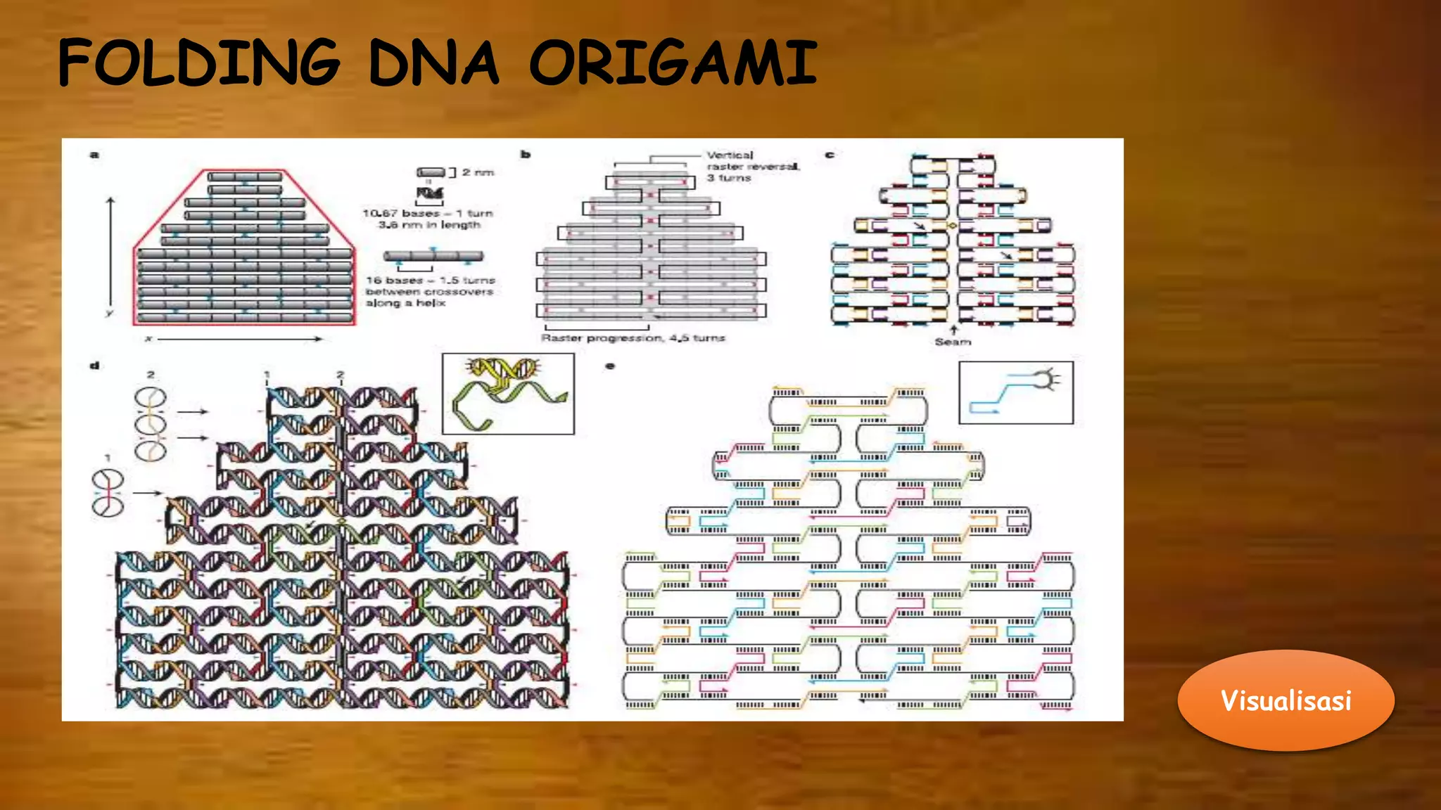 Dna origami | PPTX