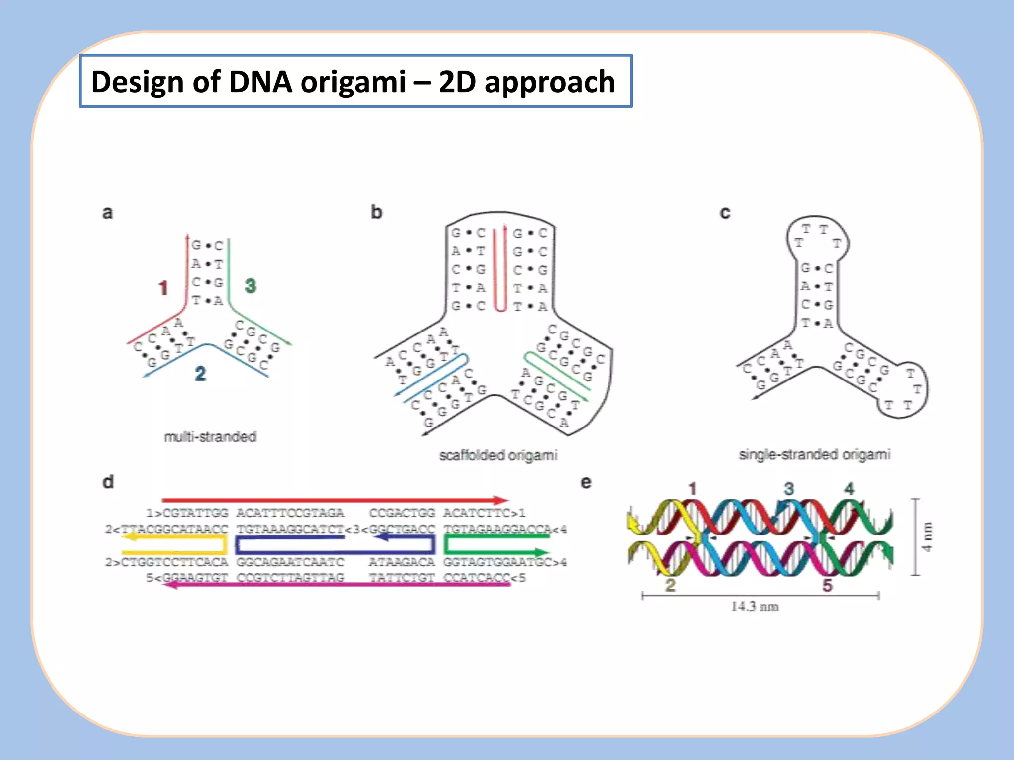 Dna Origamis Presentation | PPTX