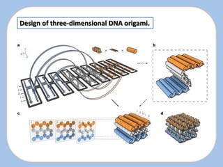 Dna Origamis Presentation | PPTX