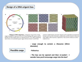 Dna Origamis Presentation | PPTX