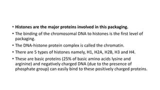 DNA pacakging.pptx