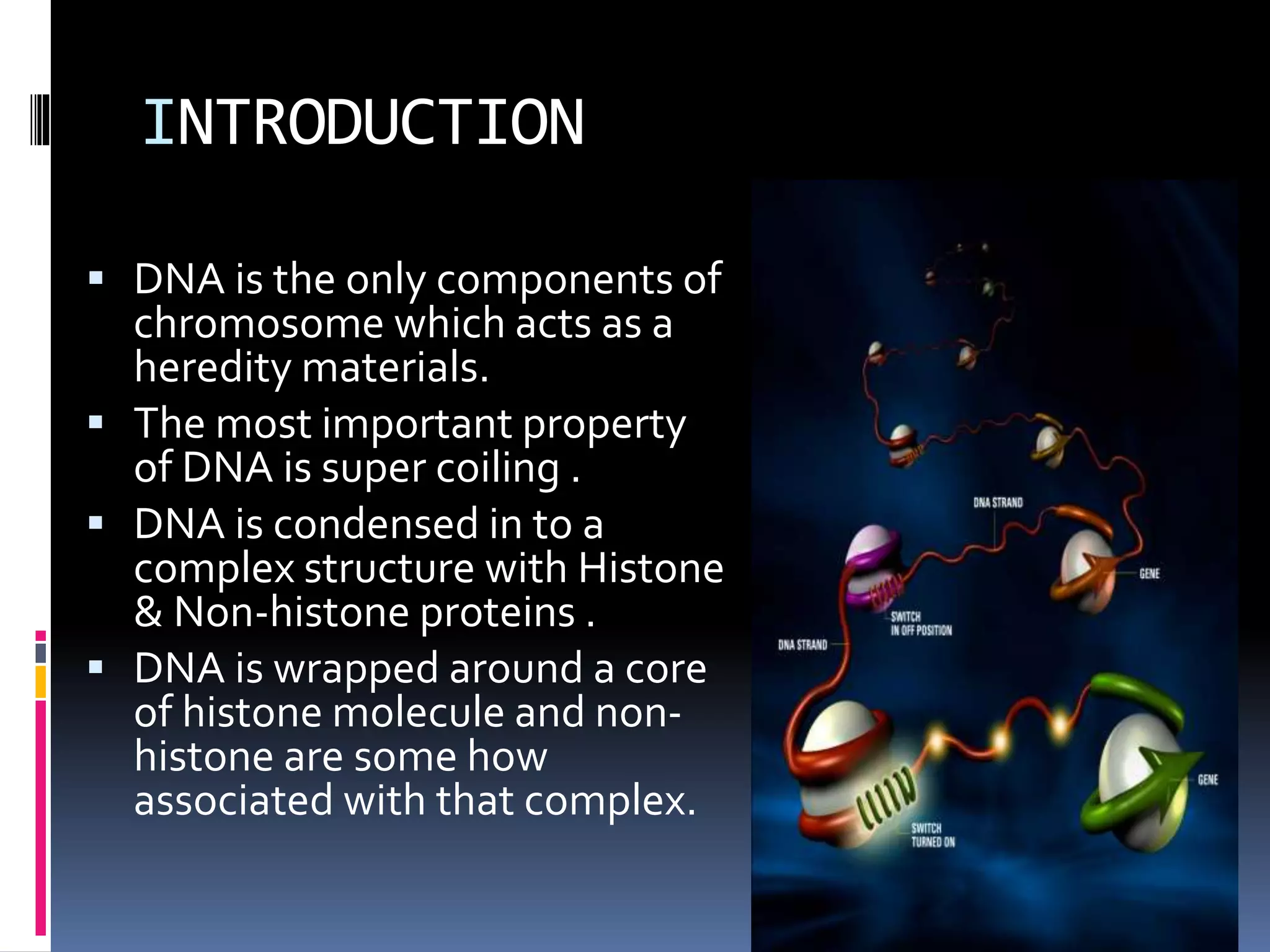 Dna packaging | PPTX