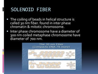 dnapackaging-190319054625 (1).pdf