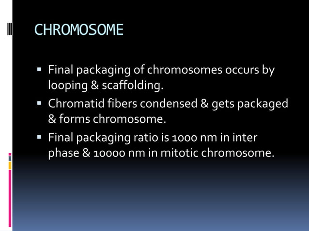 dnapackaging-190319054625 (1).pdf