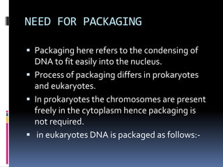 dnapackaging-190319054625 (1).pdf | Free Download