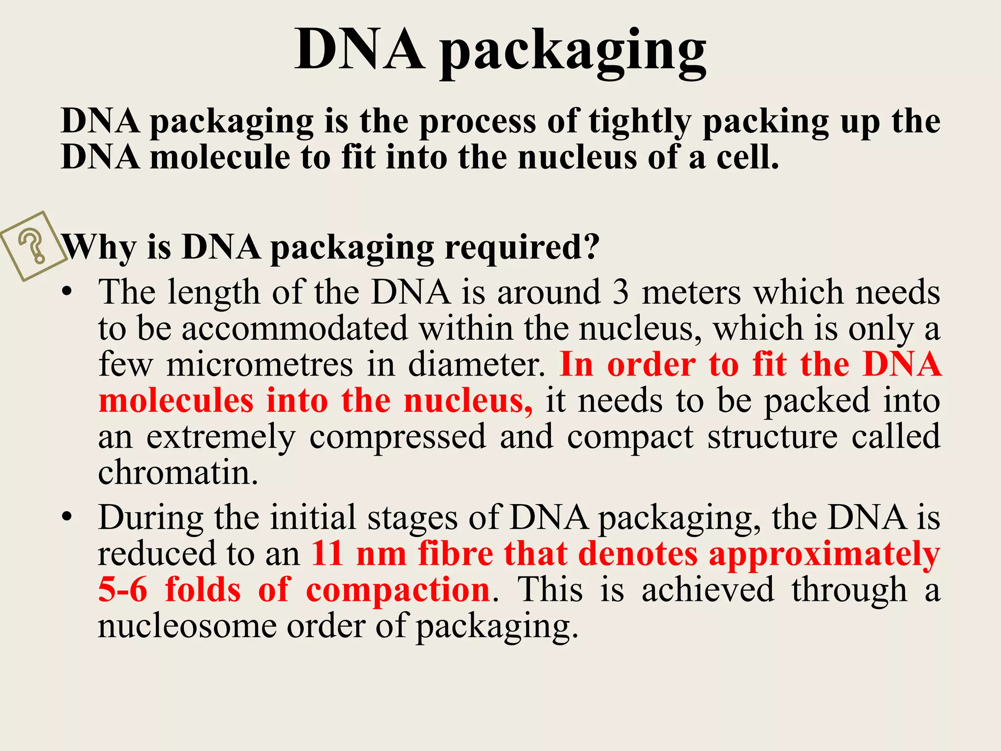DNA Packaging.pptx