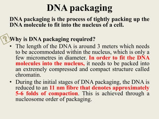 DNA Packaging.pptx