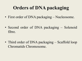 DNA Packaging.pptx