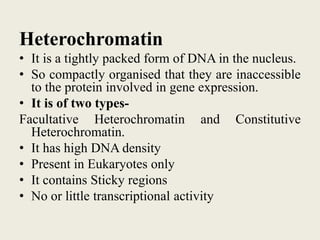 DNA Packaging.pptx