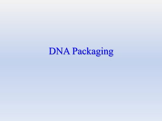 DNA_Packaging.ppt