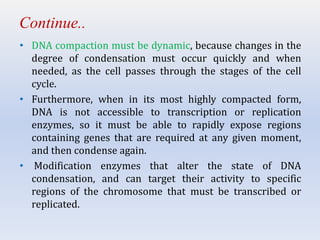 DNA_Packaging.ppt