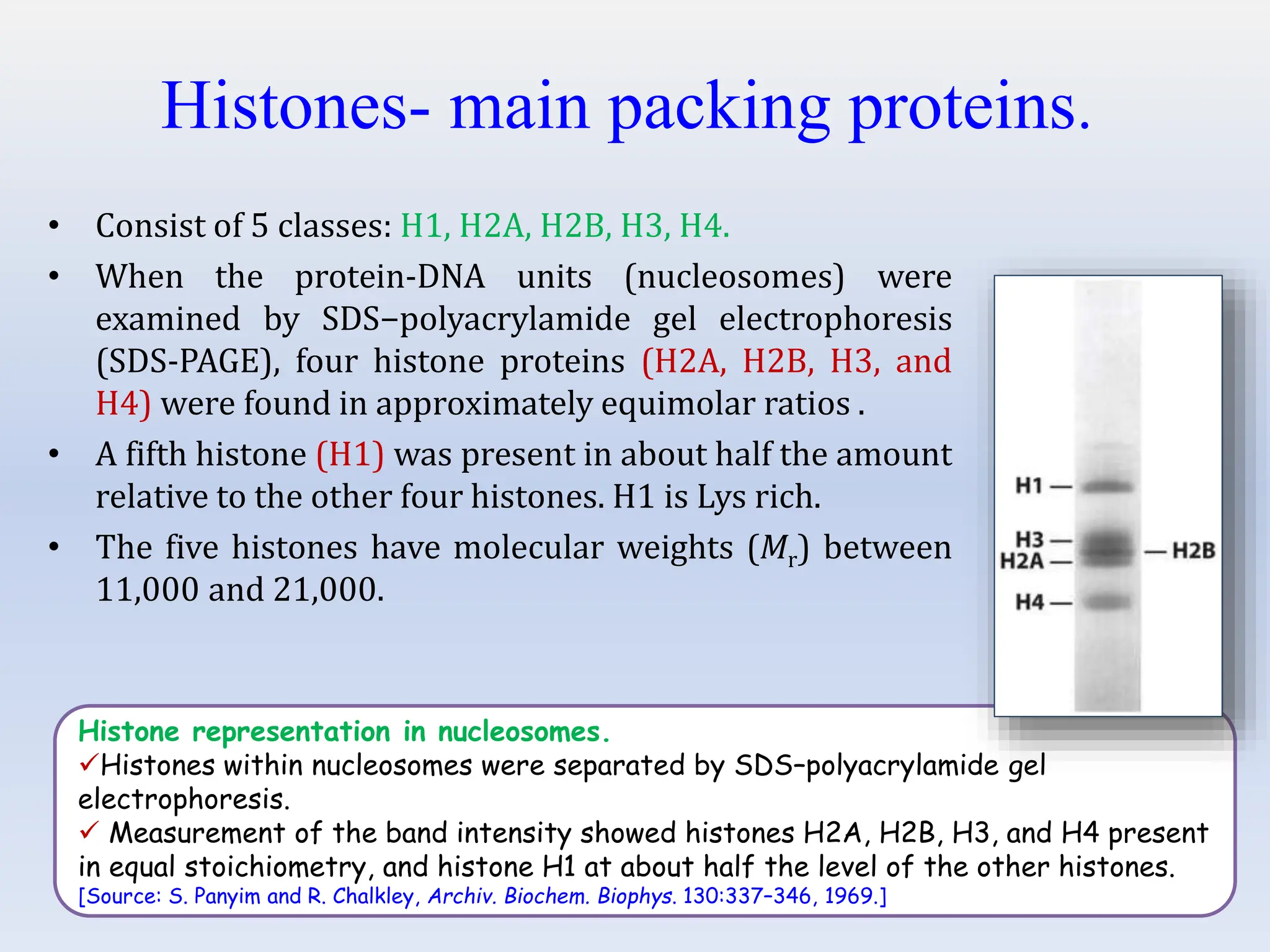 DNA_Packaging.pptwwwwwwwwwwwwwwwwwwwwwwwwww | PPT