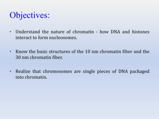 DNA_Packaging.pptwwwwwwwwwwwwwwwwwwwwwwwwww | PPT
