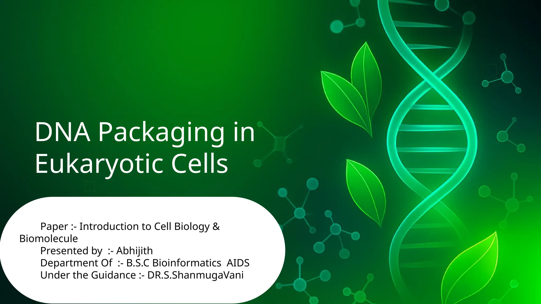 DNA Packaging in Eukaryotic Cells.pptx