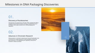 DNA Packaging_ Structure and Function in Cells.pptx