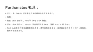 活性氧诱导的 DNA 损伤引发的 parthanatos 参与坏死性小肠结肠炎时的肠上皮损伤.pptx
