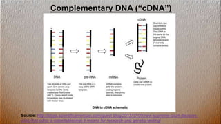 DNA Patent Law 101: The Myriad Decision and its Impact on Patenting ...