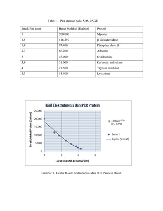 Dna & pcr | PDF