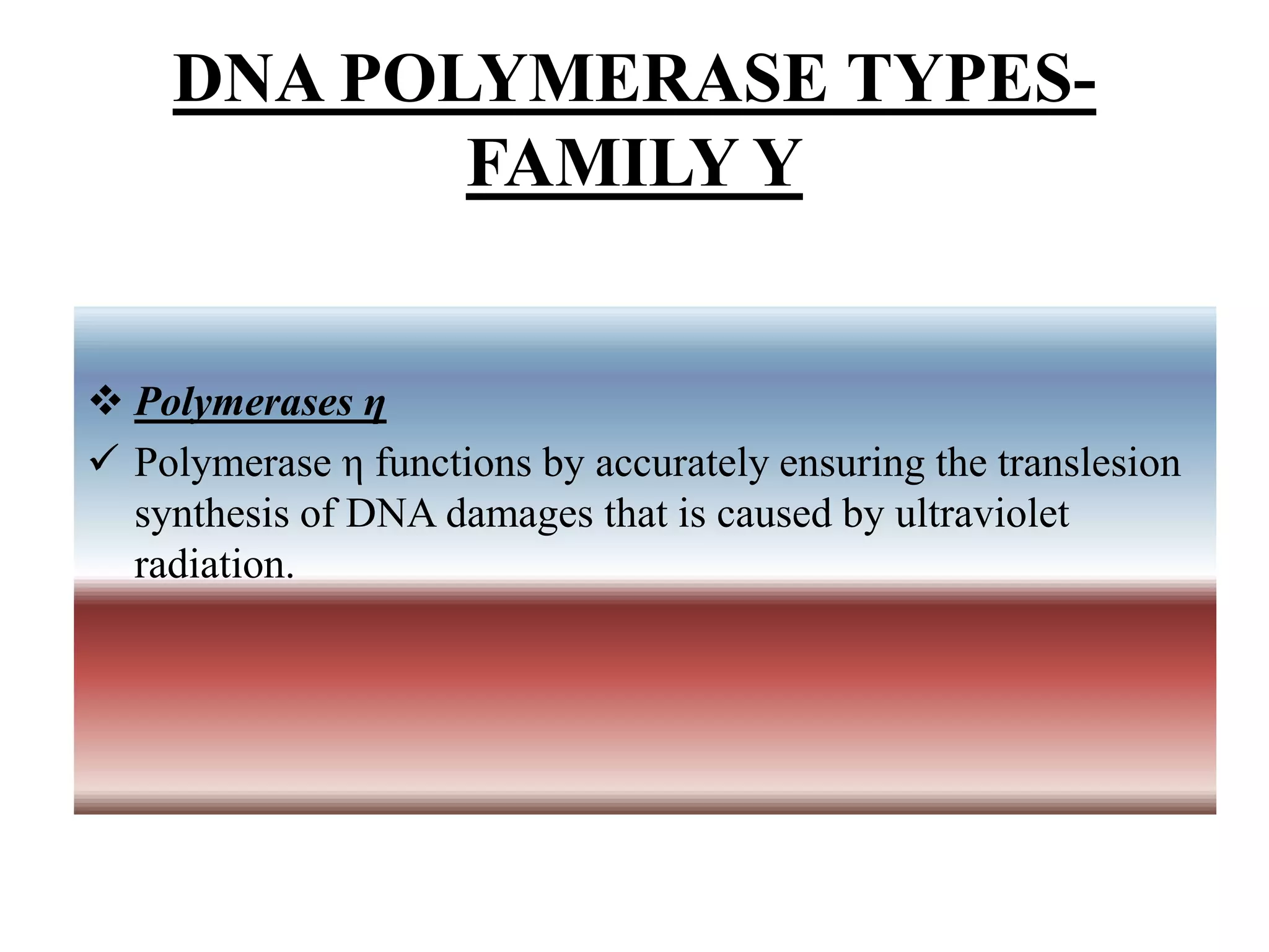 DNA POLYMERASE | PPTX