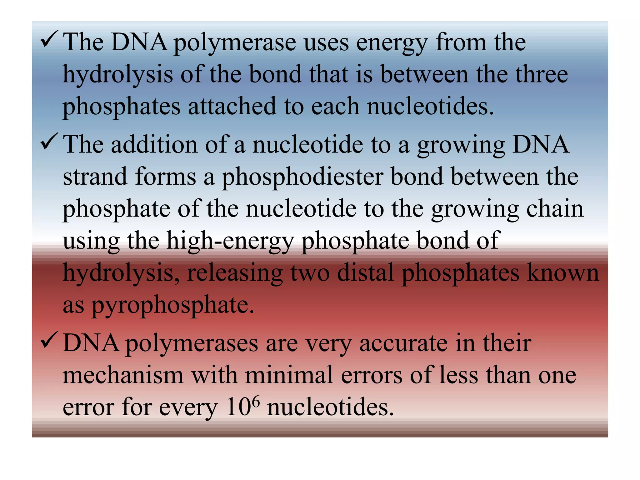 DNA POLYMERASE | PPTX