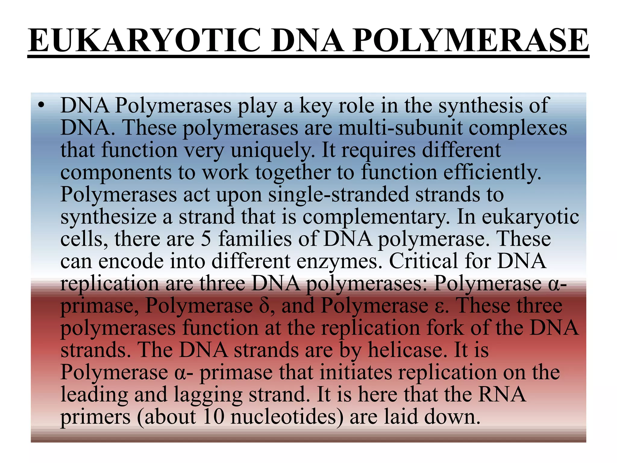 DNA POLYMERASE | PPTX