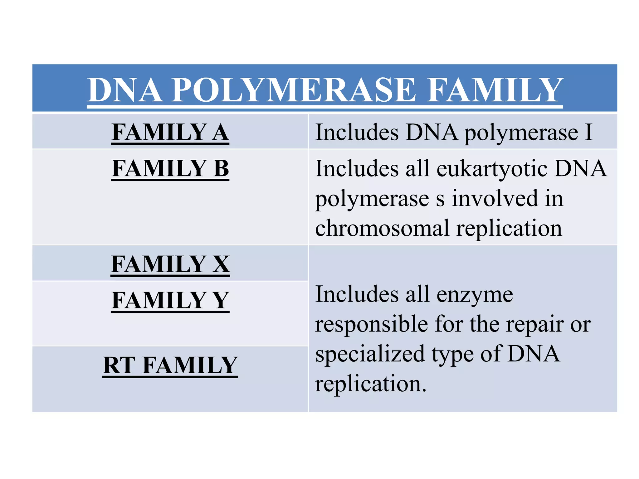 DNA POLYMERASE | PPTX