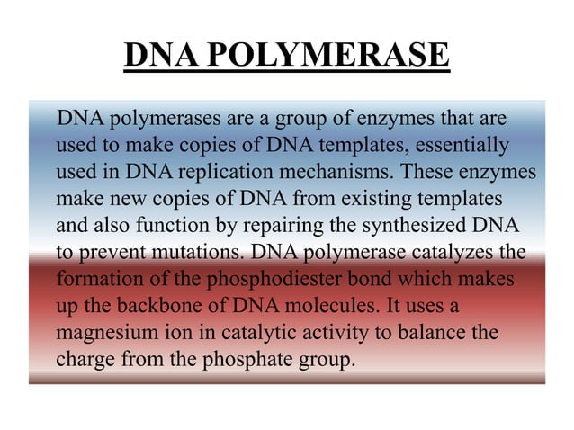 DNA POLYMERASE | PPTX