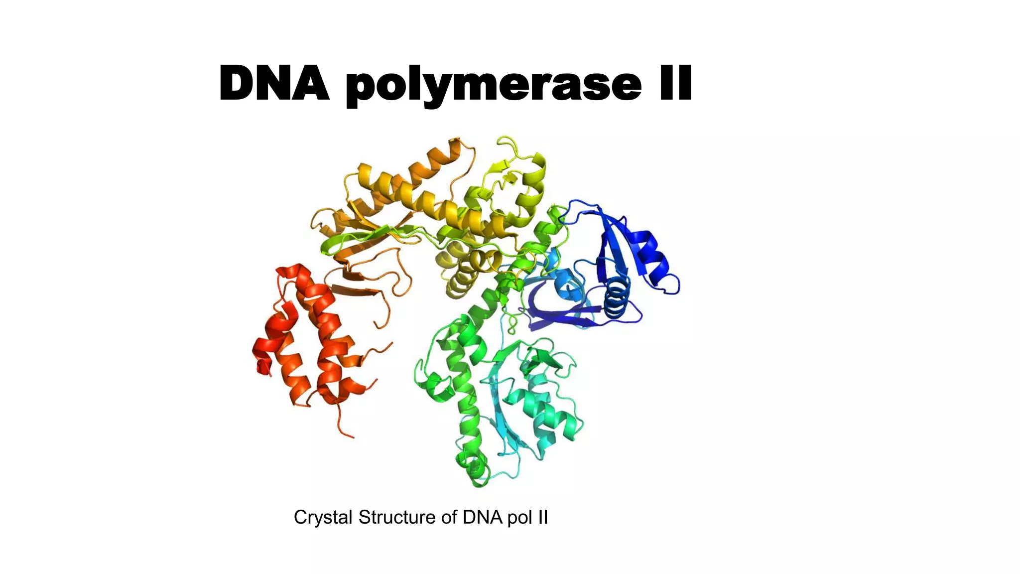 Dna polymerase | PPTX