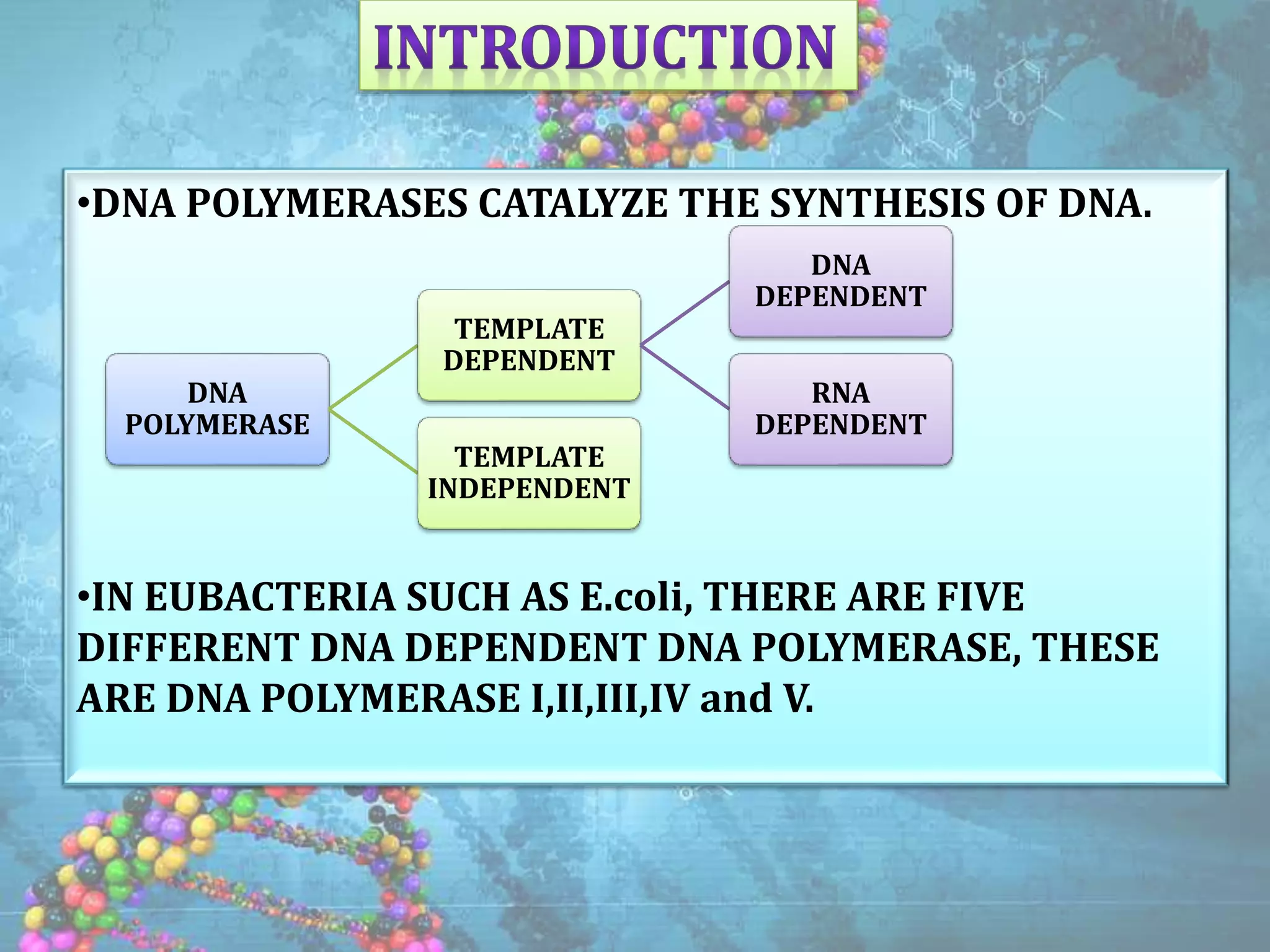DNA POLYMERASE.pptx