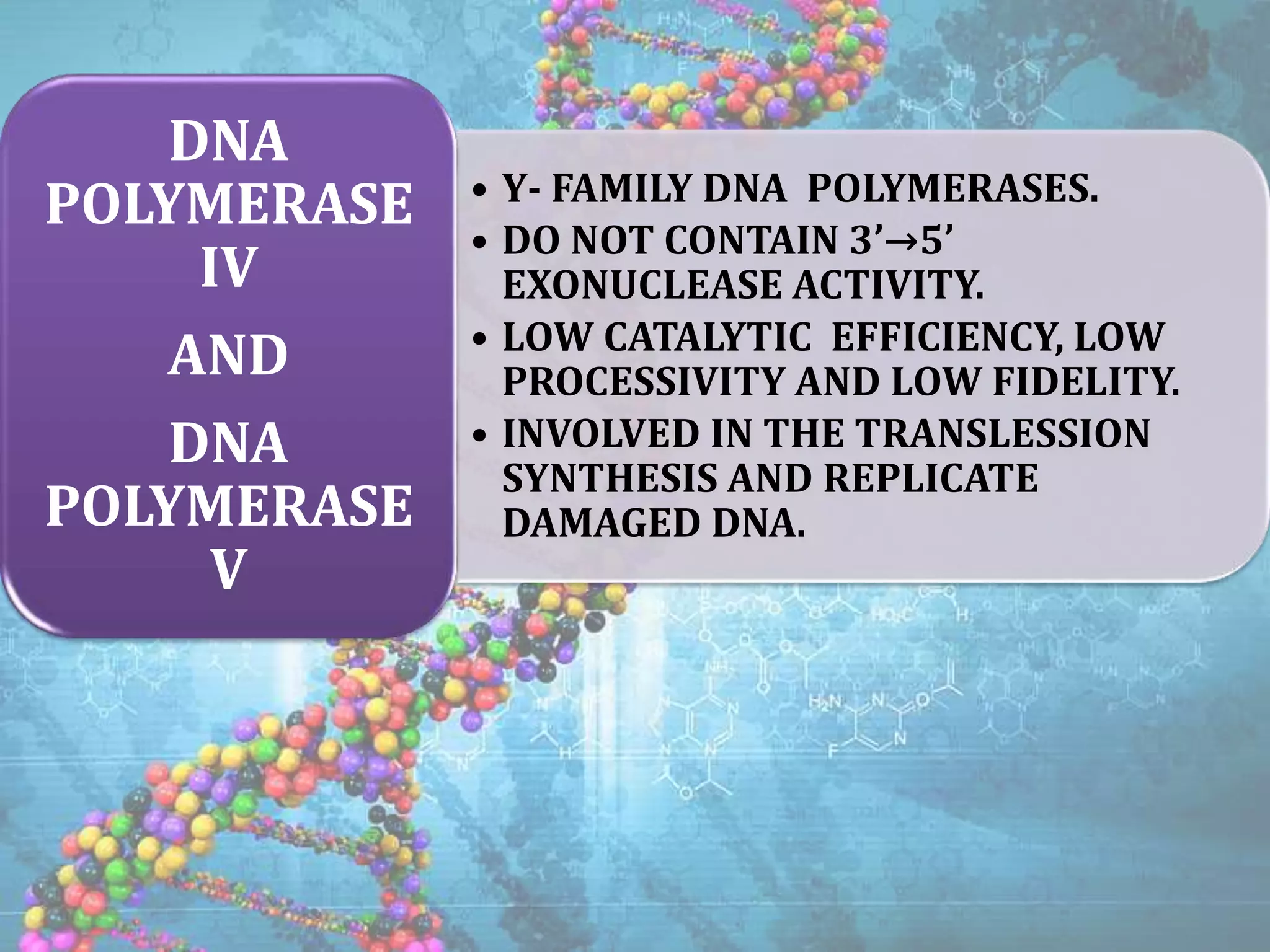 DNA POLYMERASE.pptx