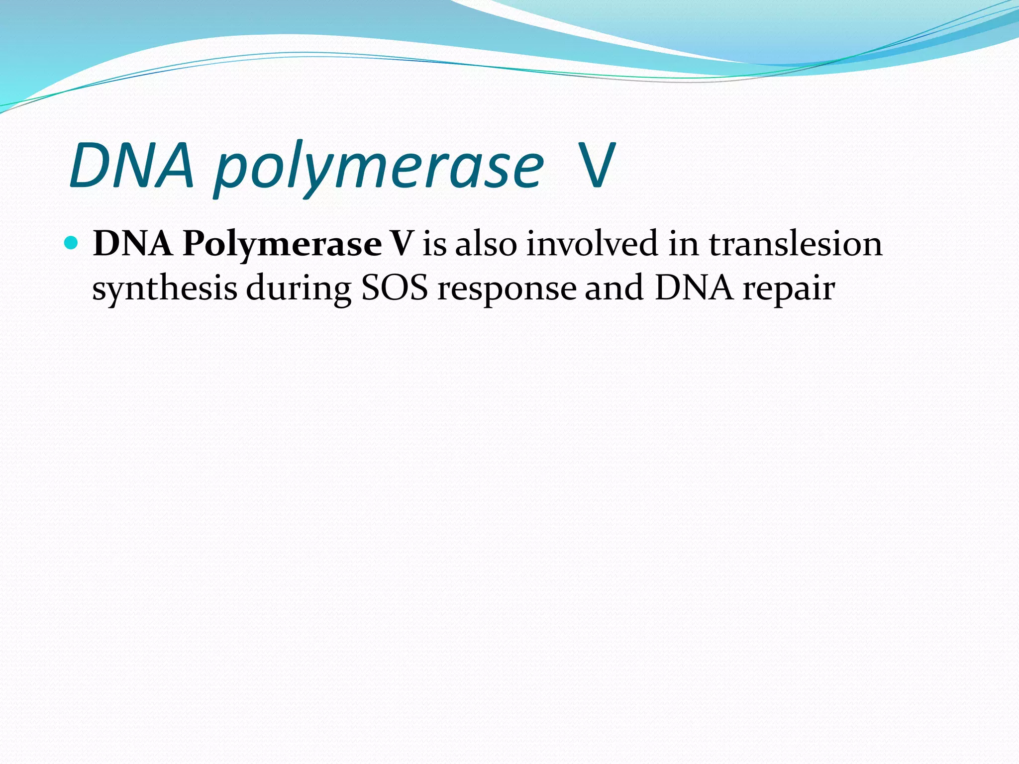 DNA Polymerase.pptx