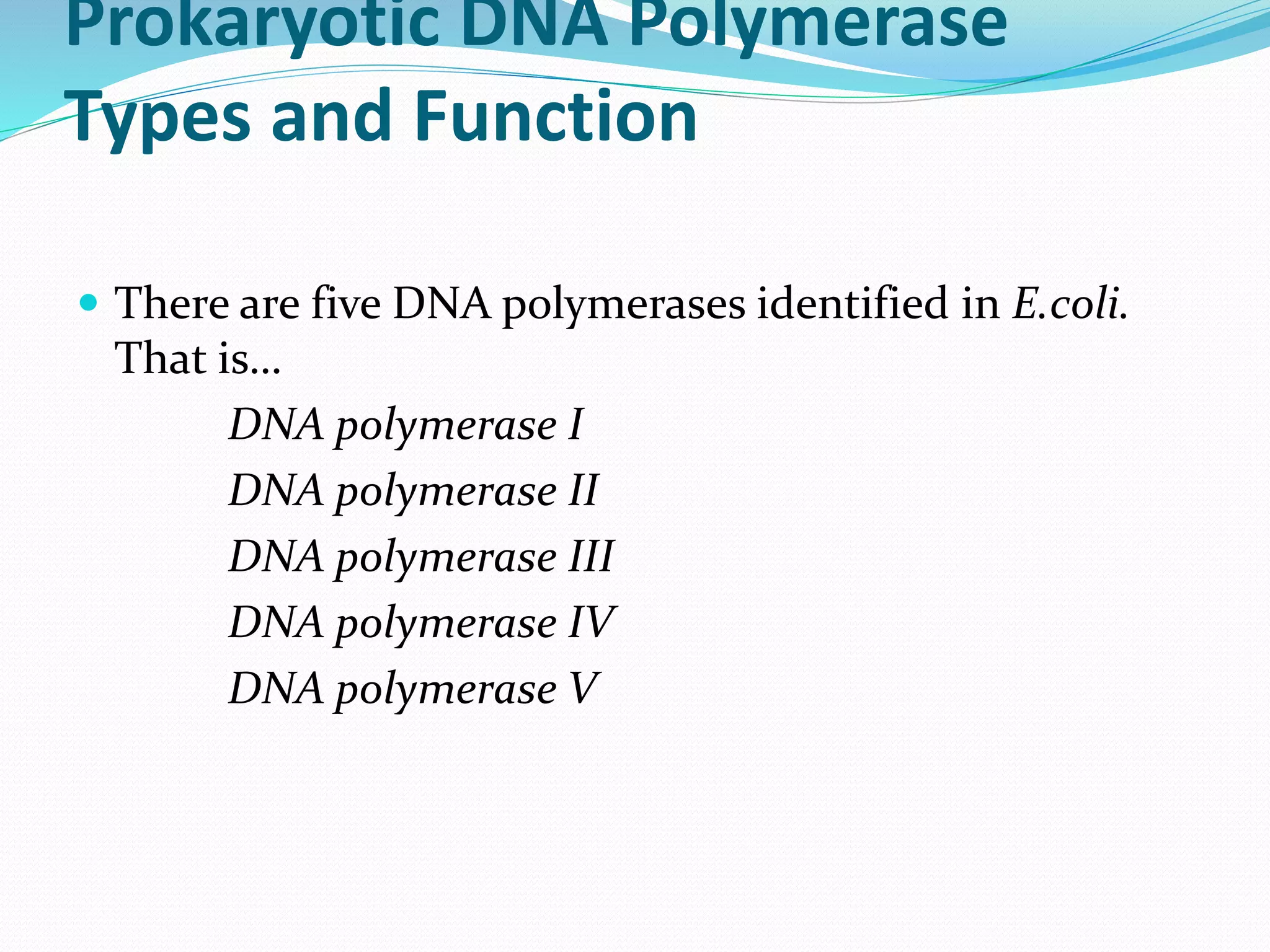DNA Polymerase.pptx